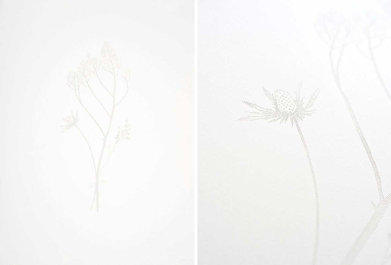 Q&A With Melbourne Artist Miso.