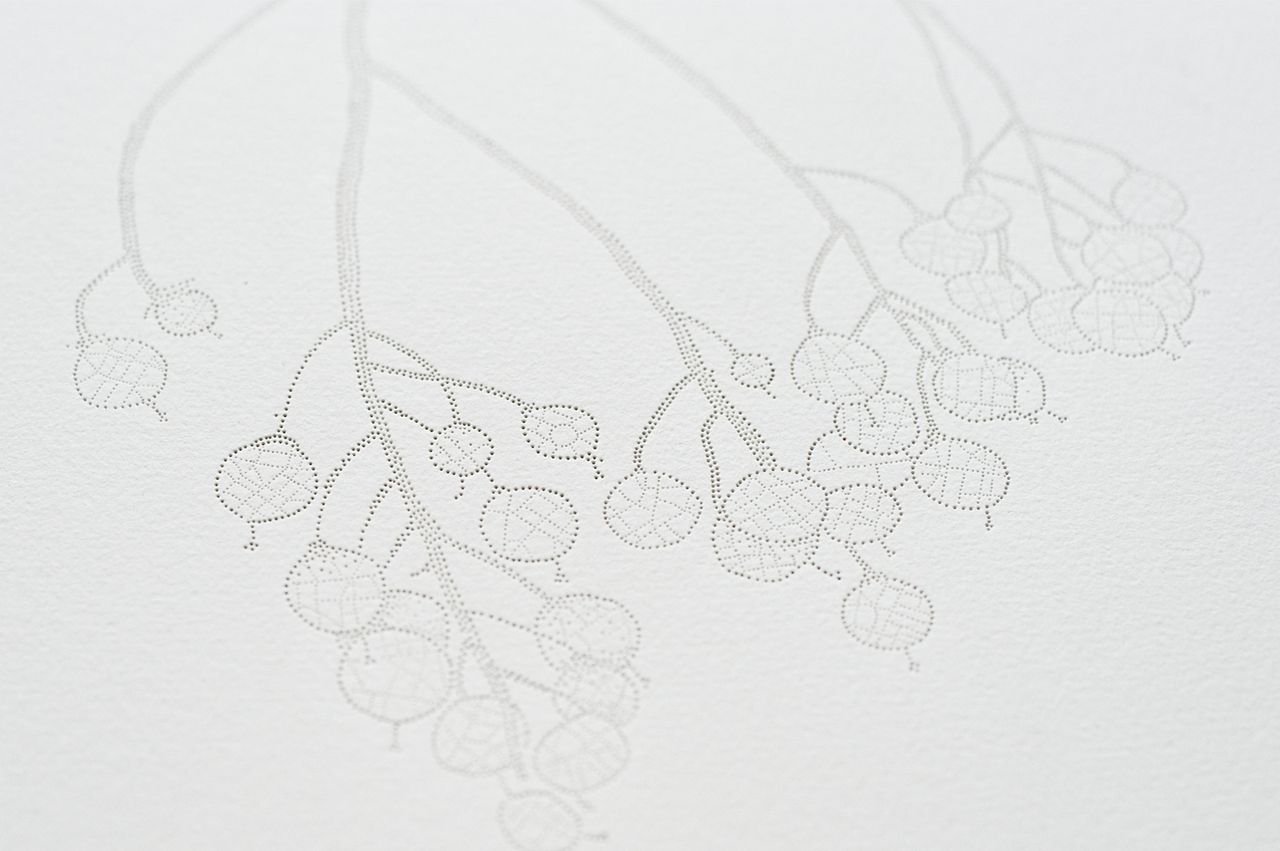 Q&A With Melbourne Artist Miso.