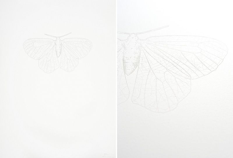 Q&A With Melbourne Artist Miso.