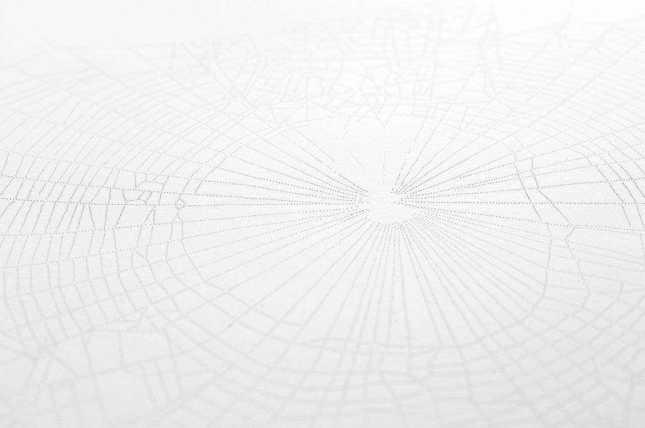 Q&A With Melbourne Artist Miso.