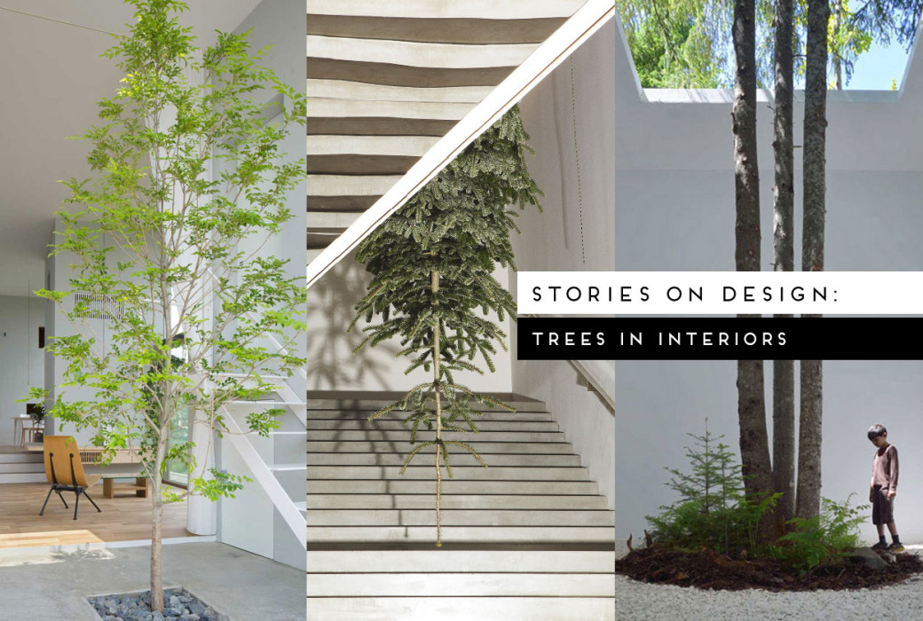 Stories On Design: Trees In Interiors, Curated by Yellowtrace.