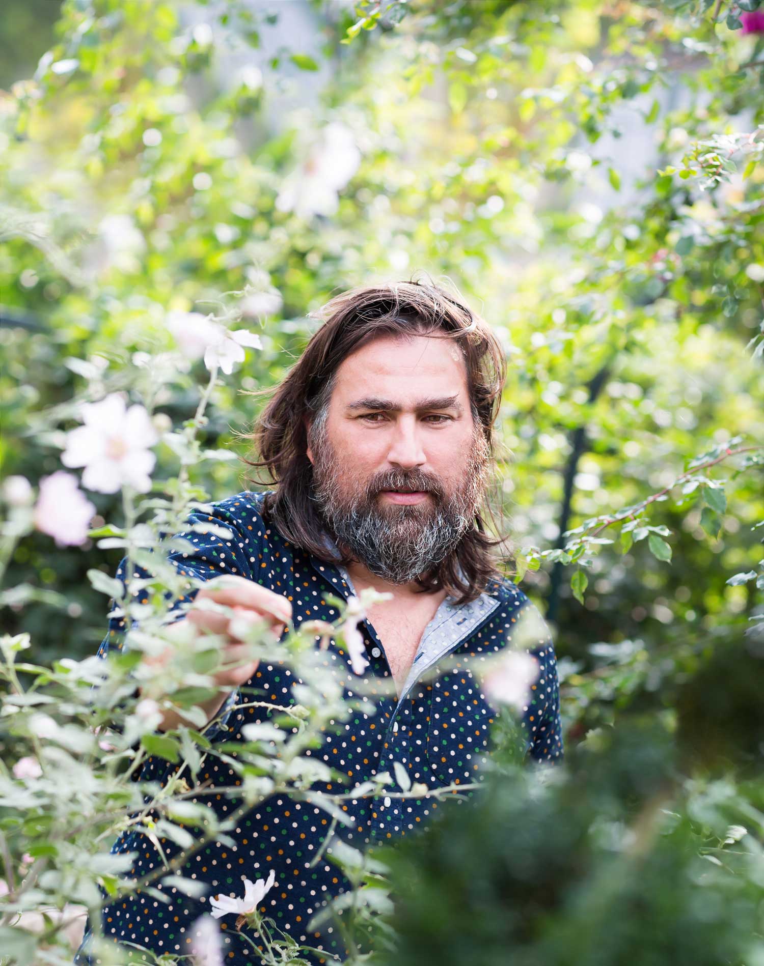 Greenterior: Plant Loving Creatives & Their Homes.