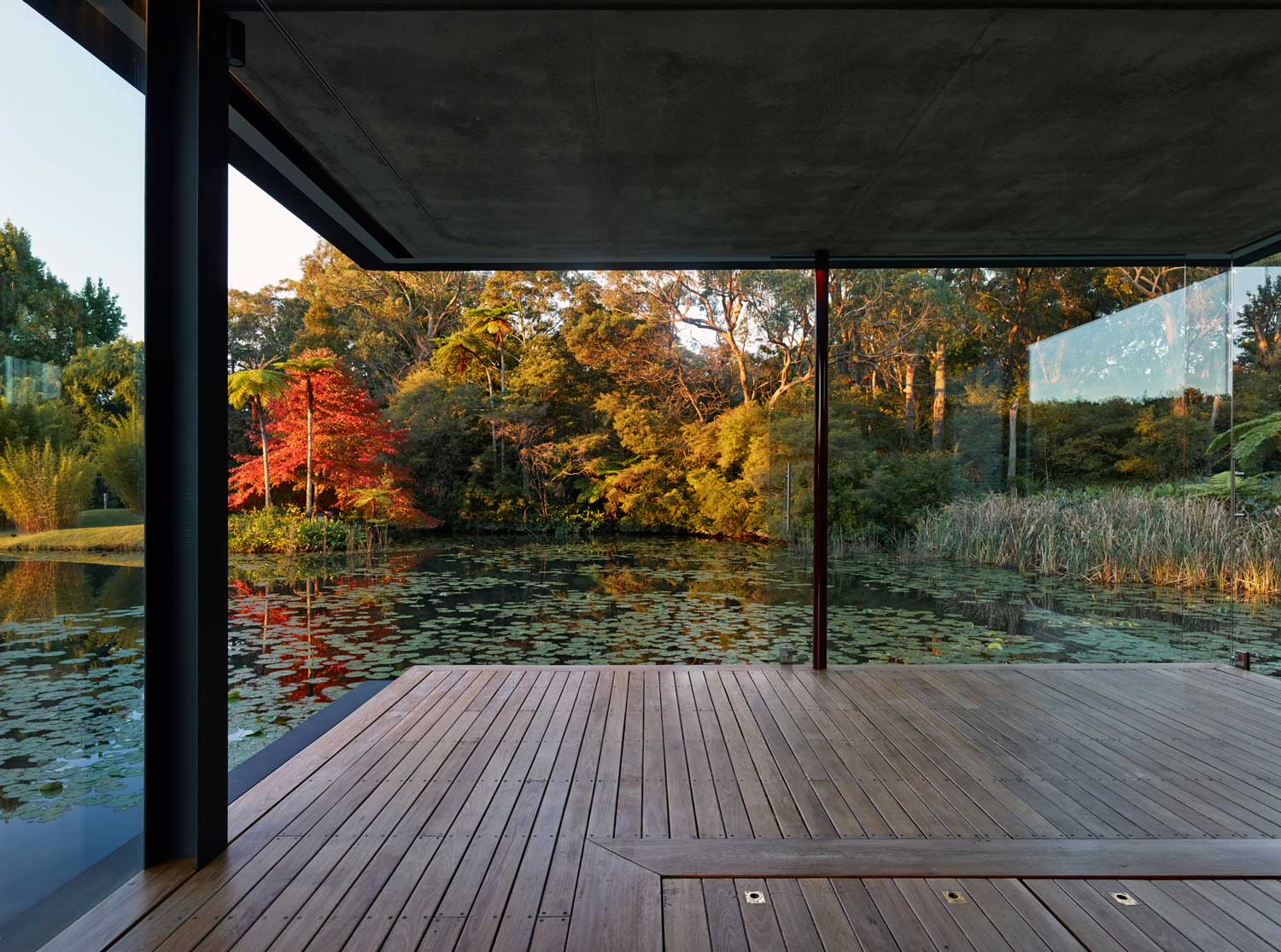 Wirra Willa Pavilion in Sydney by Matthew Woodward Architecture