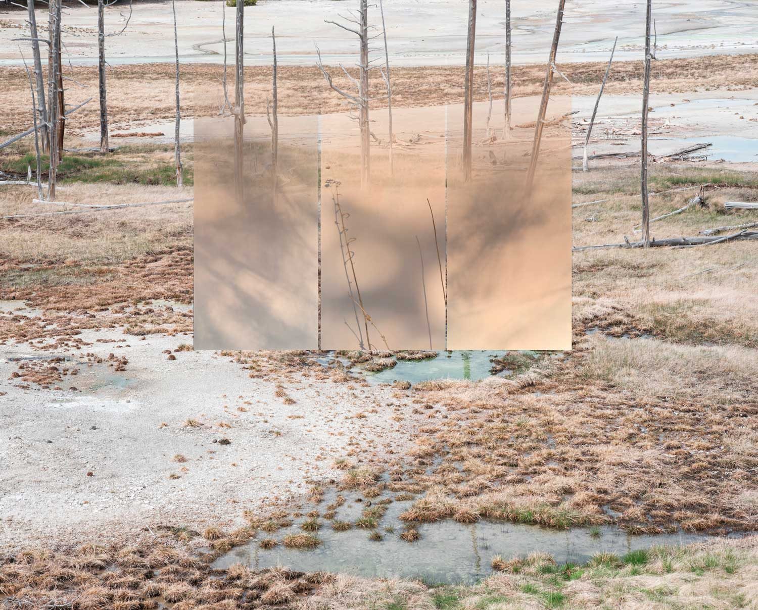 A Conceptual Evaluation of the Landscape by Kyra Schmidt