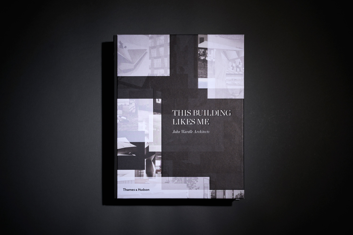 This Building Likes Me by John Wardle Architects.