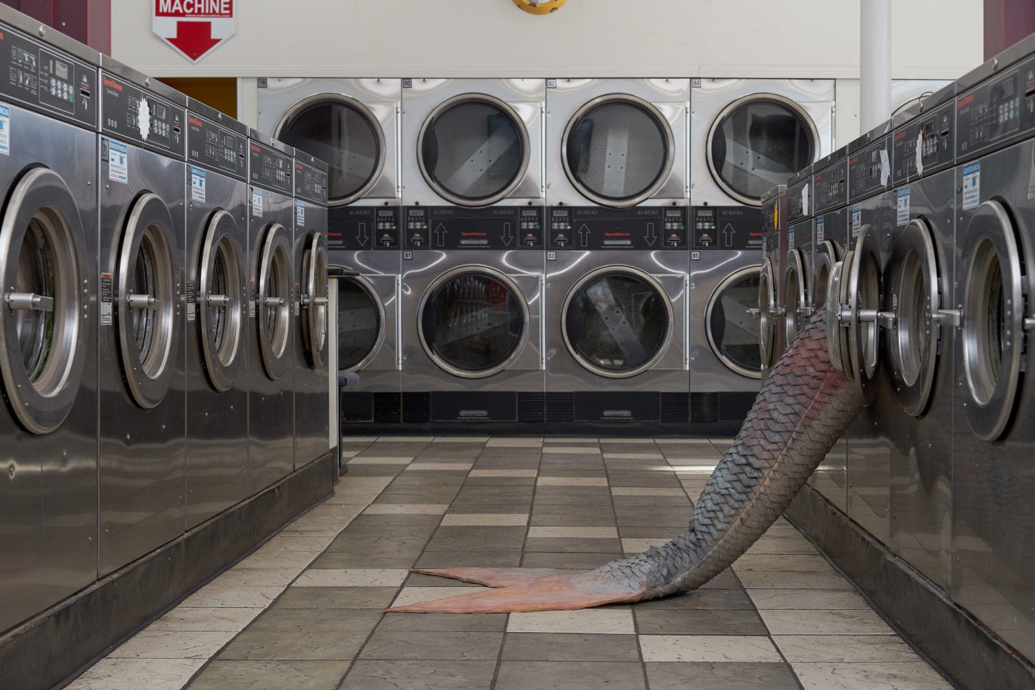 These Are Not Your Average Laundromats | Yellowtrace