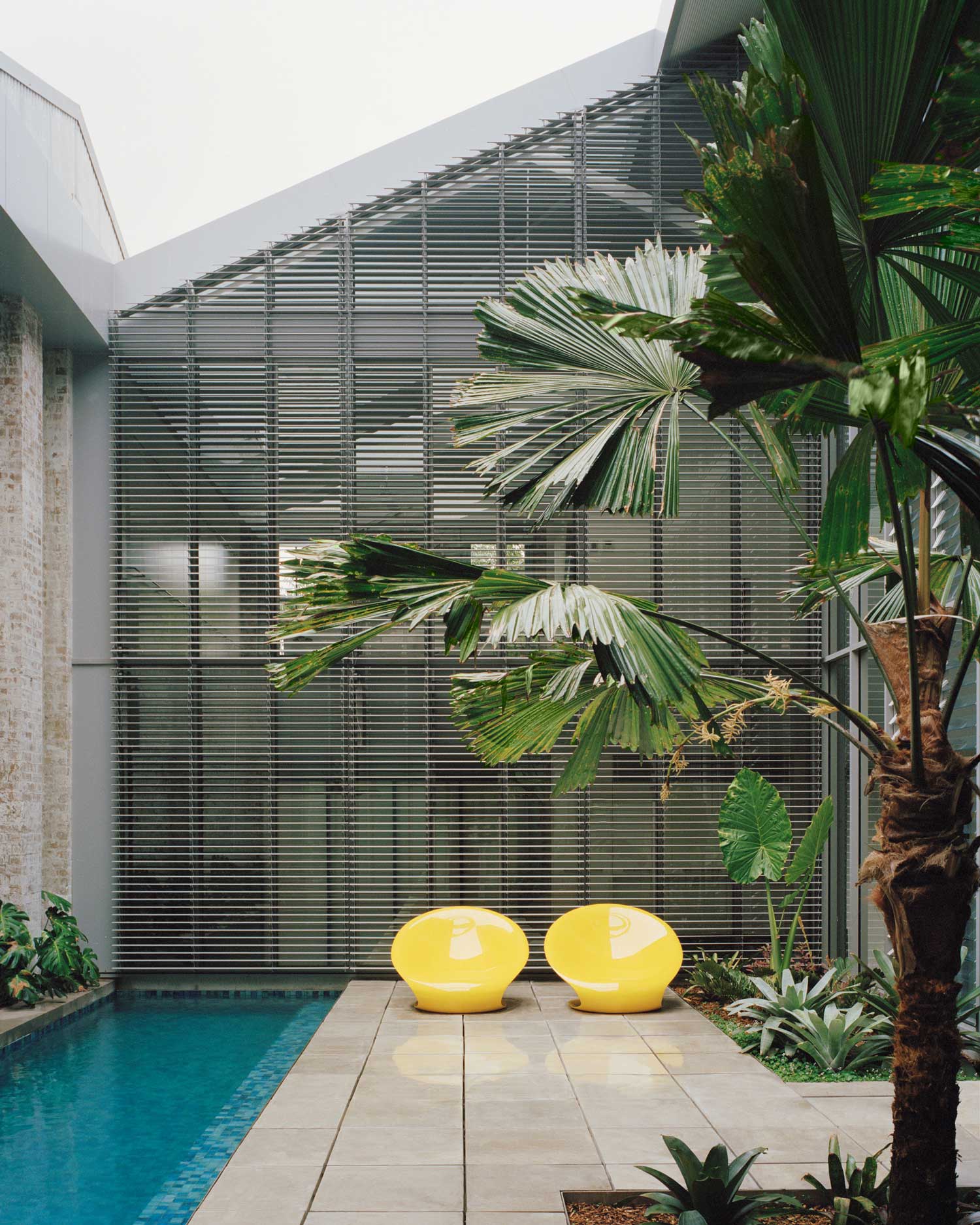 ArchiPro Launches in Australia | Yellowtrace