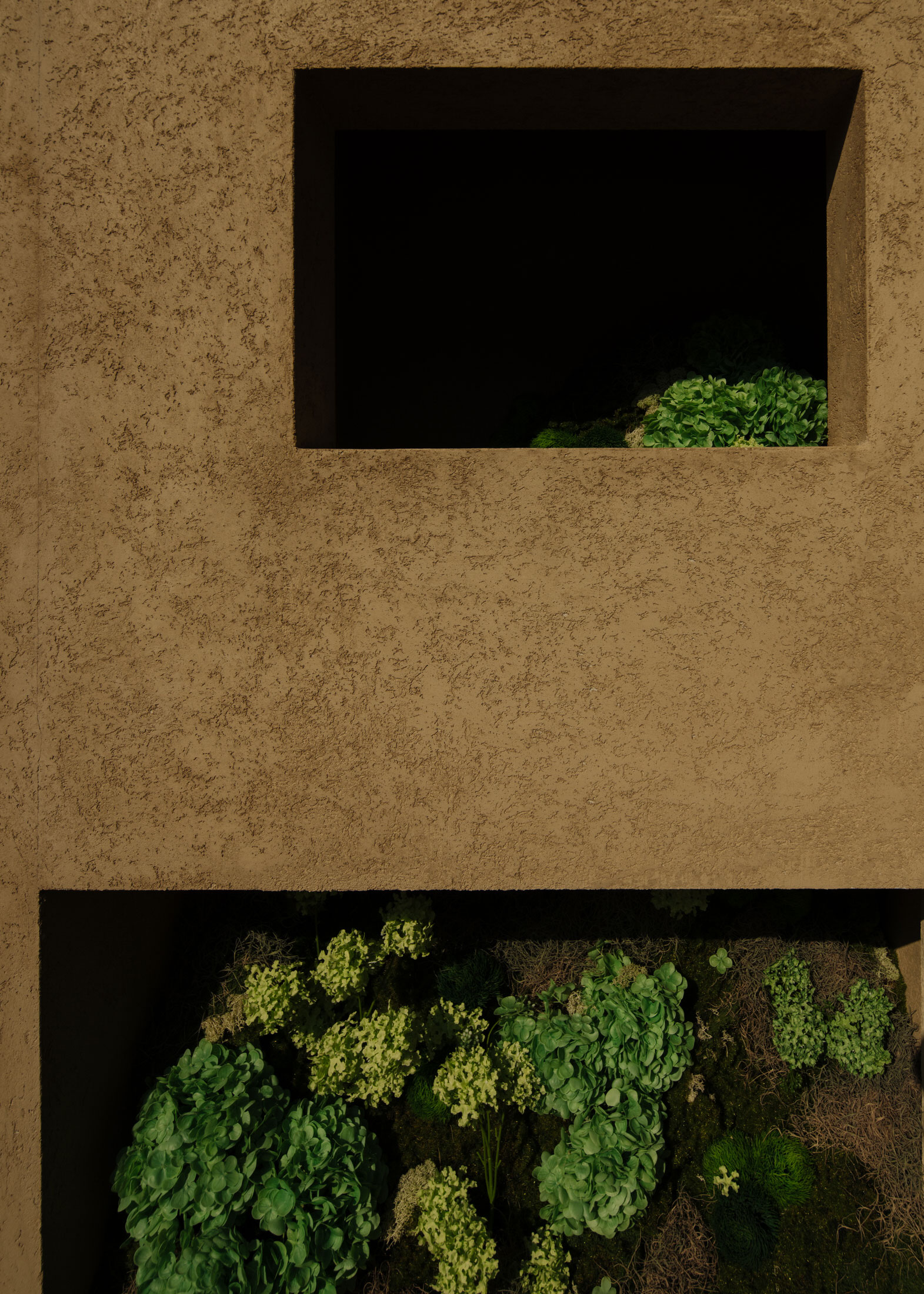 Silo Transforms Singapore Plant Retail with Soilboy | Yellowtrace