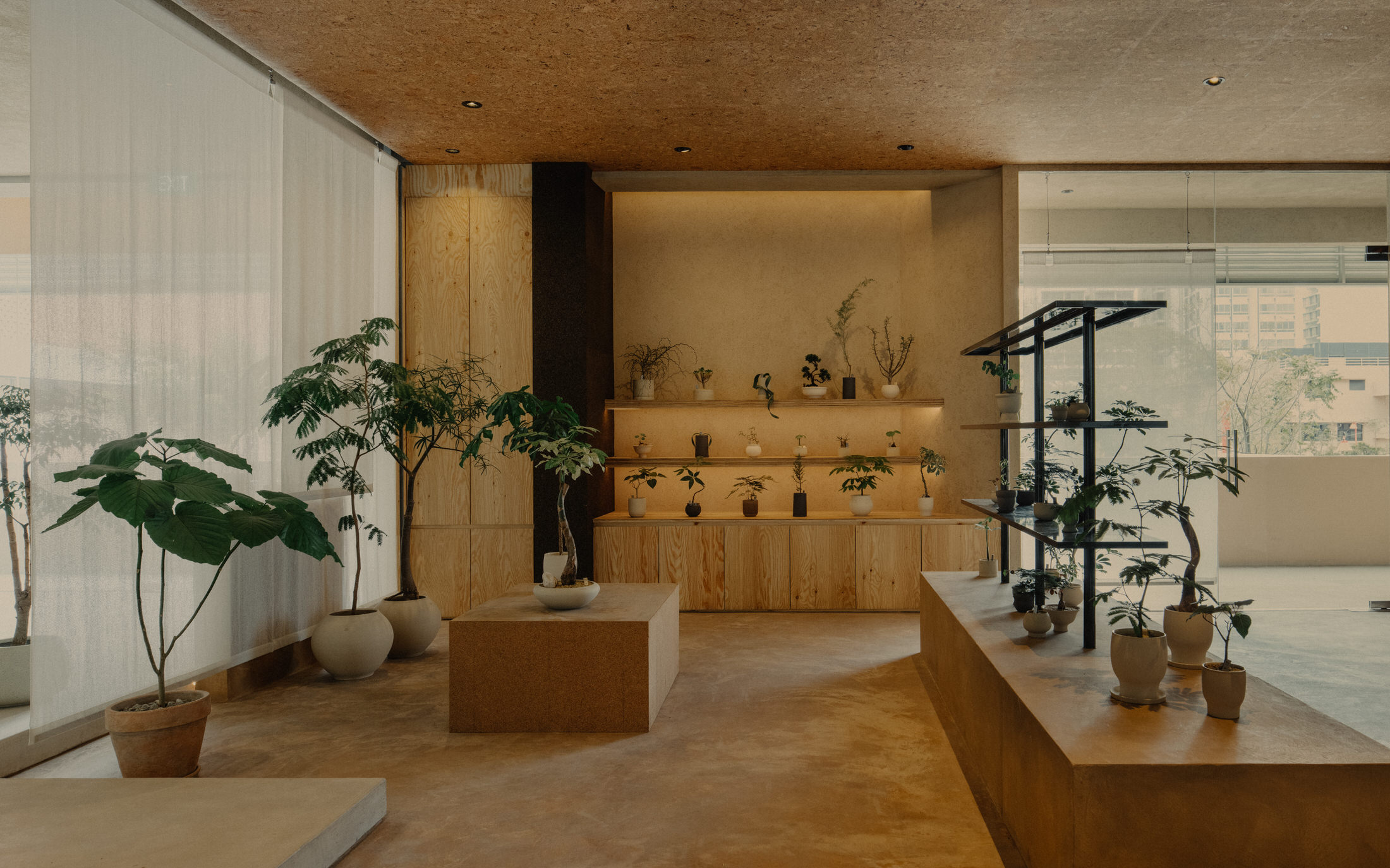 Silo Transforms Singapore Plant Retail with Soilboy | Yellowtrace