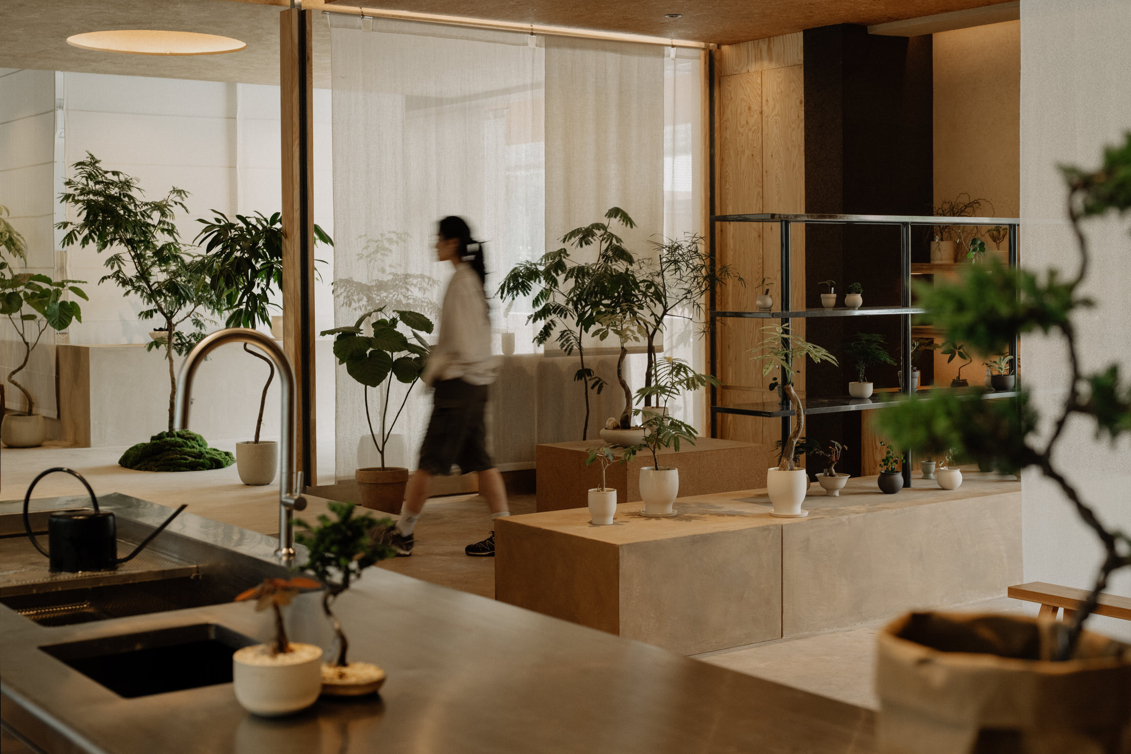 Silo Transforms Singapore Plant Retail with Soilboy | Yellowtrace