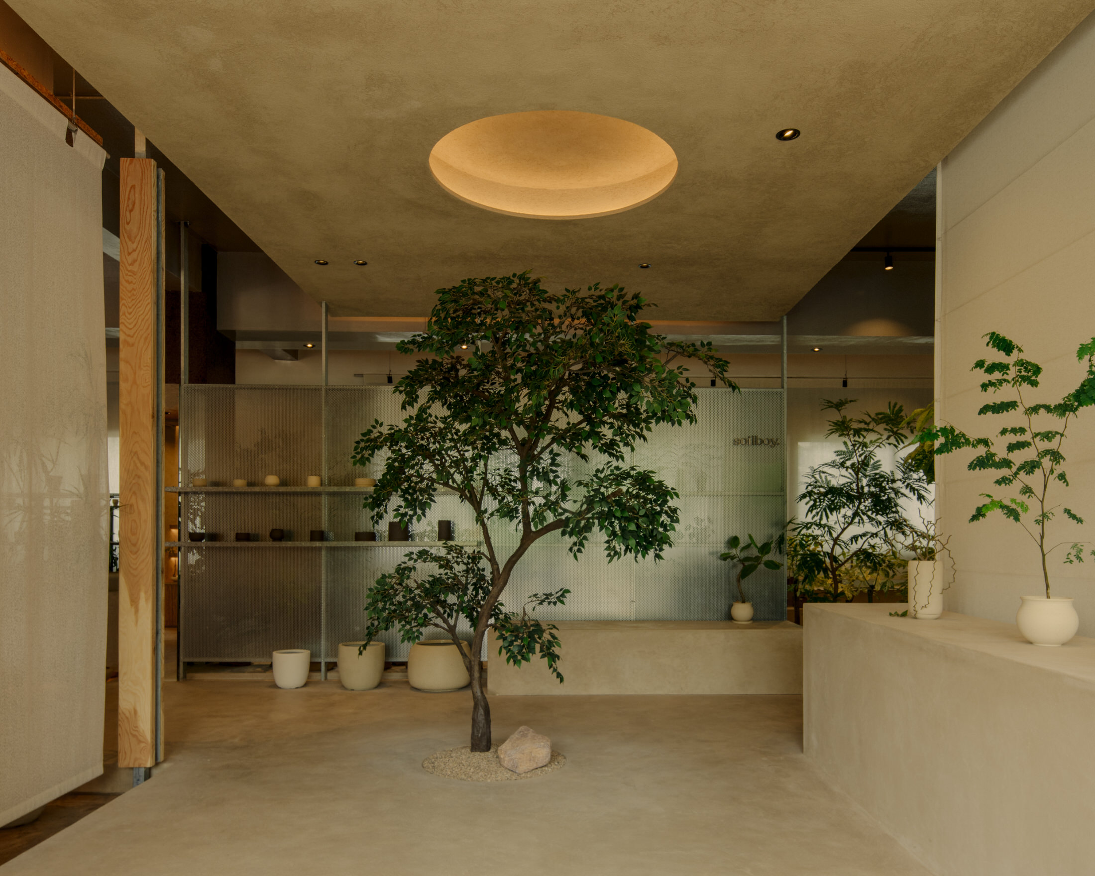 Silo Transforms Singapore Plant Retail with Soilboy | Yellowtrace