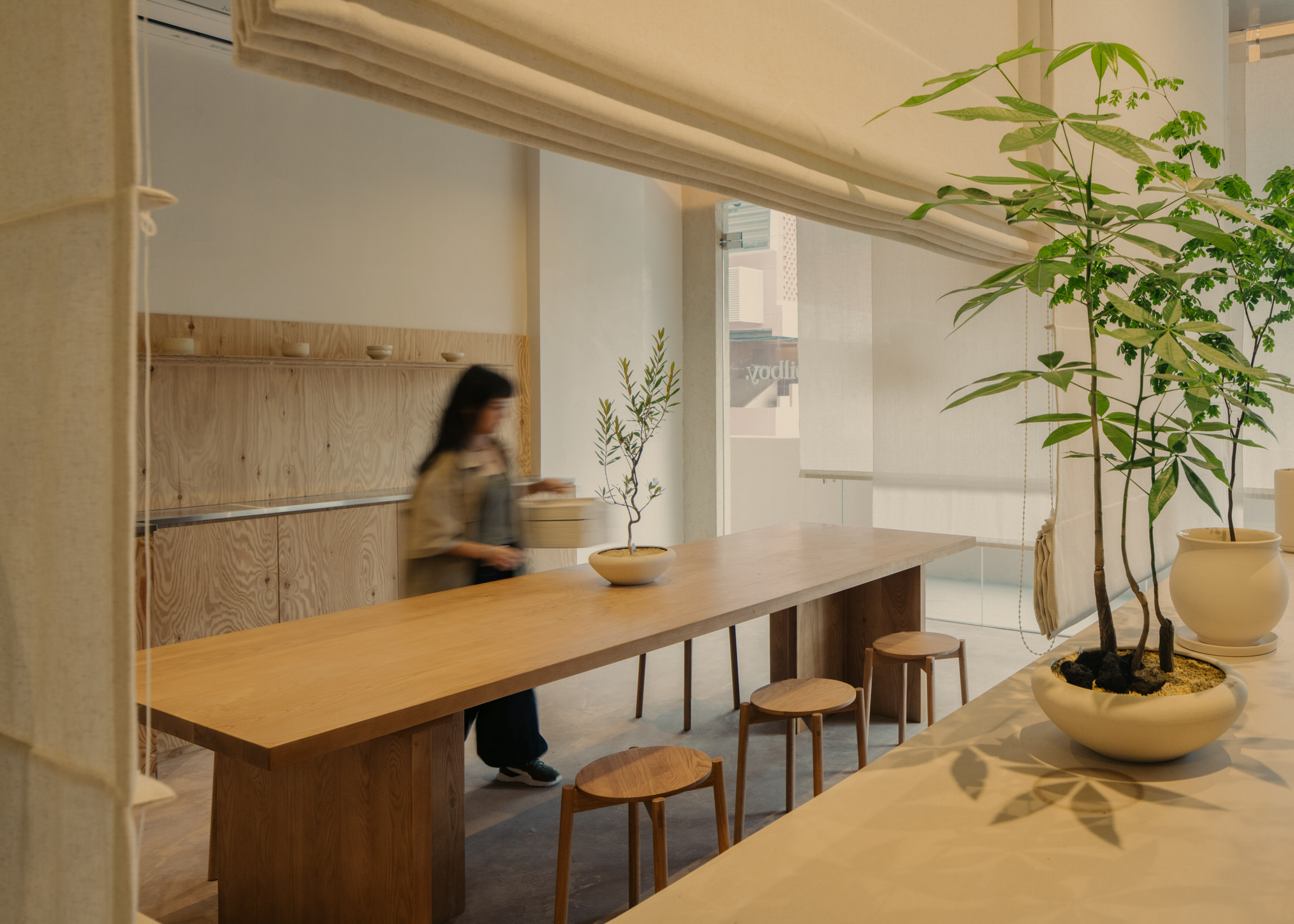 Silo Transforms Singapore Plant Retail with Soilboy | Yellowtrace