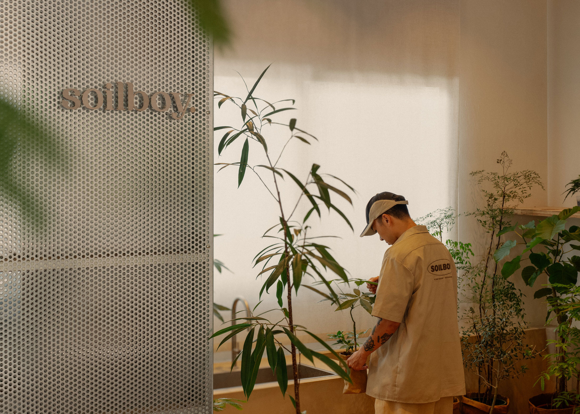 Silo Transforms Singapore Plant Retail with Soilboy | Yellowtrace