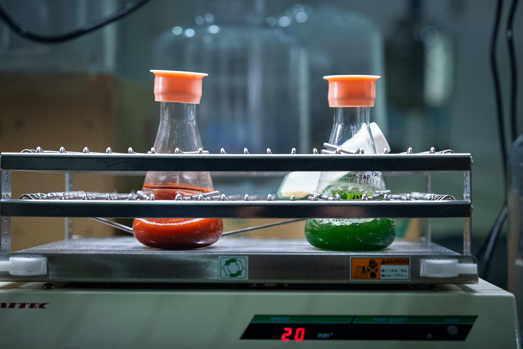 we+ Explores Microalgae as Natural Pigment Source | Yellowtrace